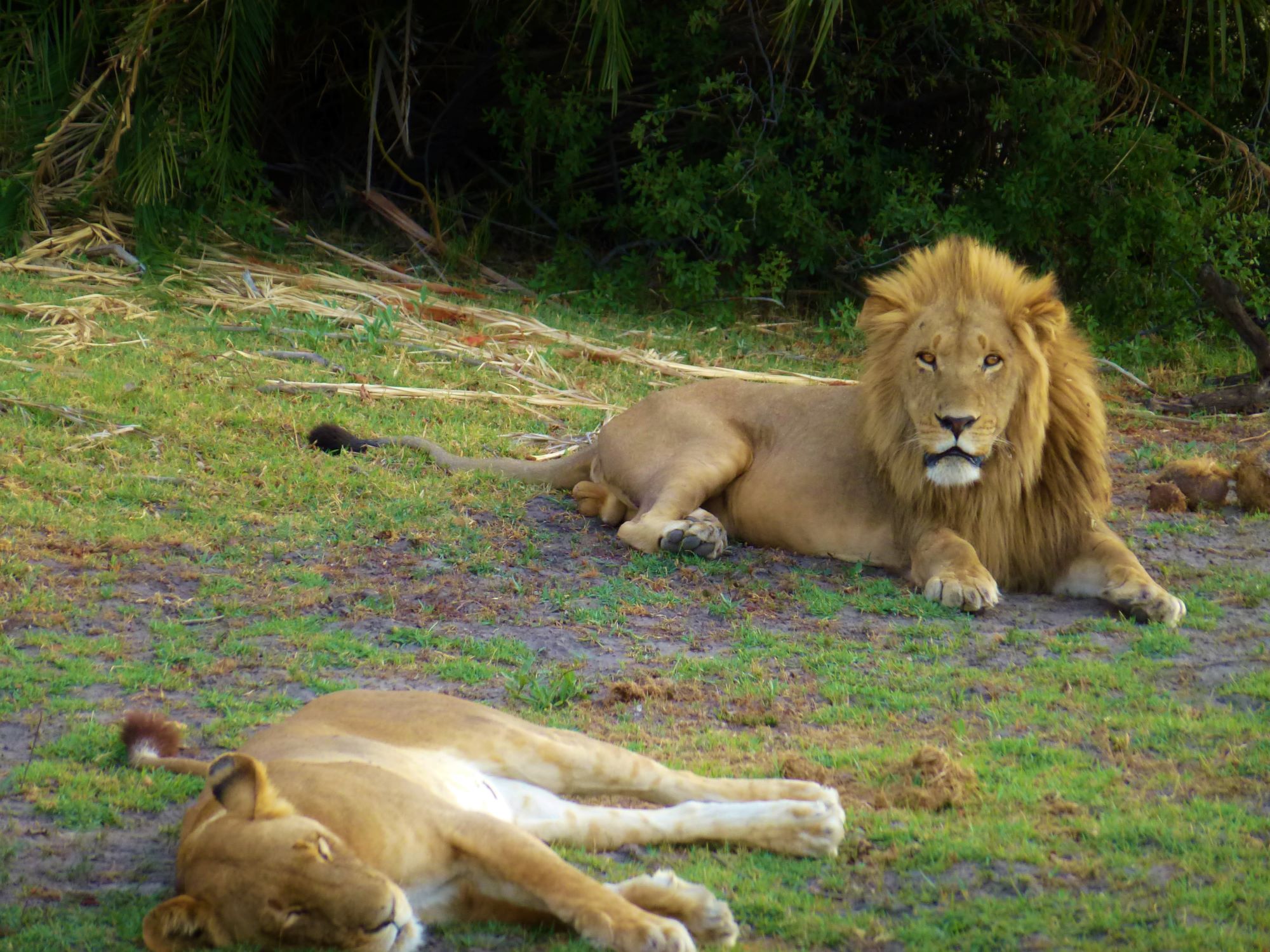 Where to go in Africa in November – EXTRAORDINARY AFRICA