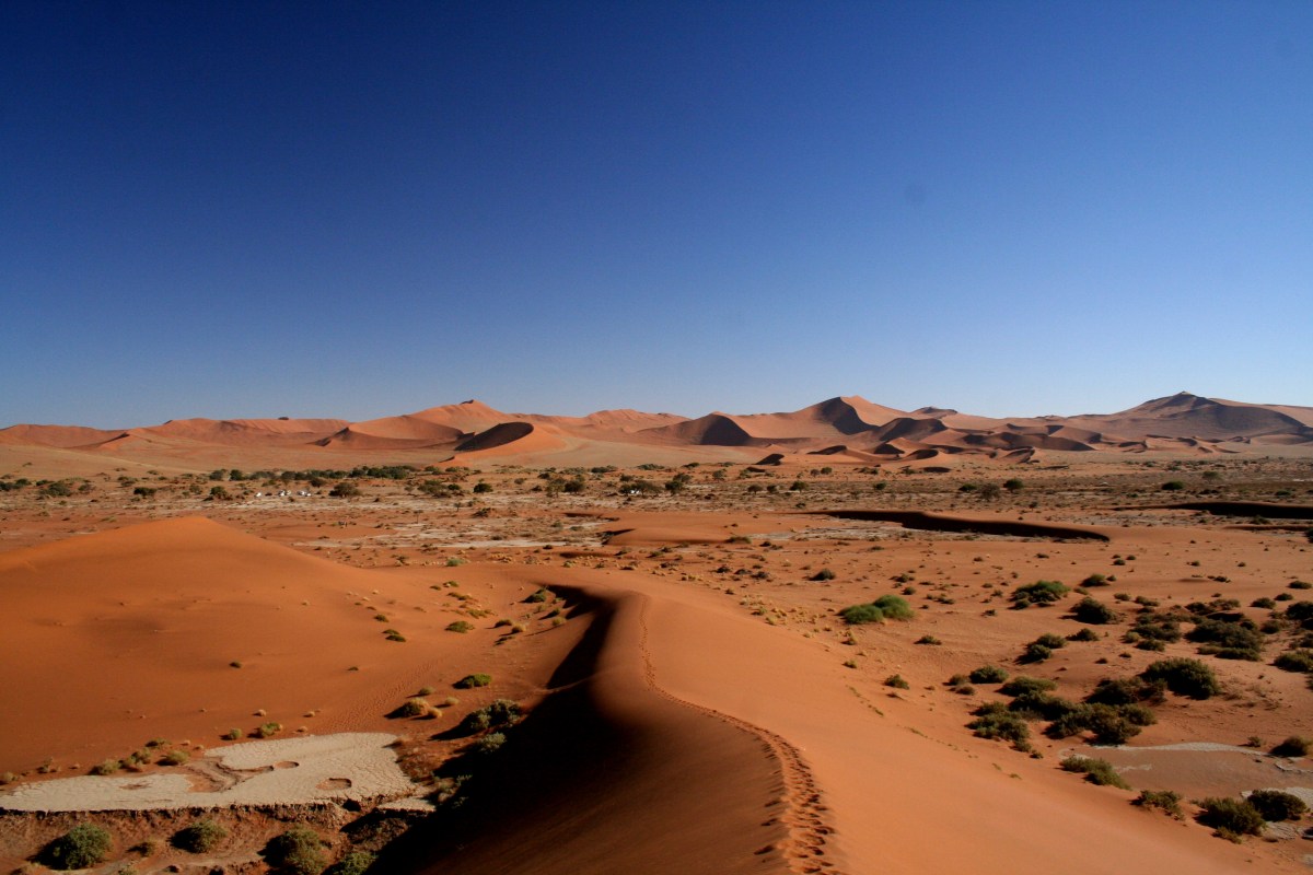 African Holiday Ideas by Month – EXTRAORDINARY AFRICA